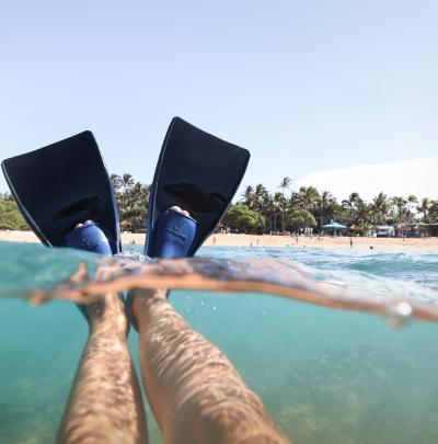 About The Resort | Turtle Bay Resort