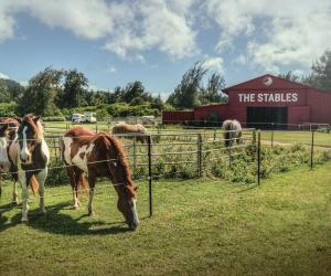 Paniolo, A Hawaiian Cowboy Lūʻau | Turtle Bay Resort