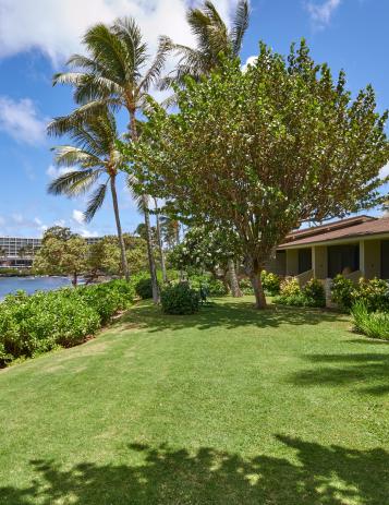 Golf in Oahu, Hawaii | Turtle Bay Resort